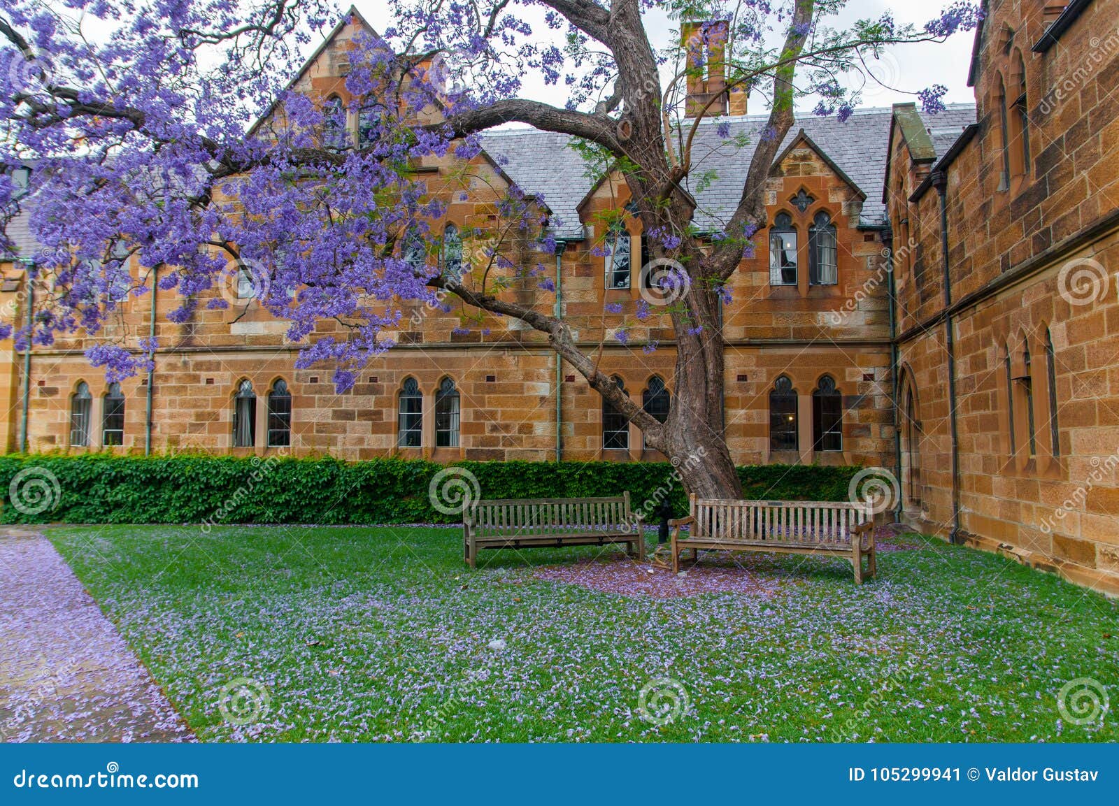 USYD Campus stock image. Image of facade, plant, mansion - 105299941