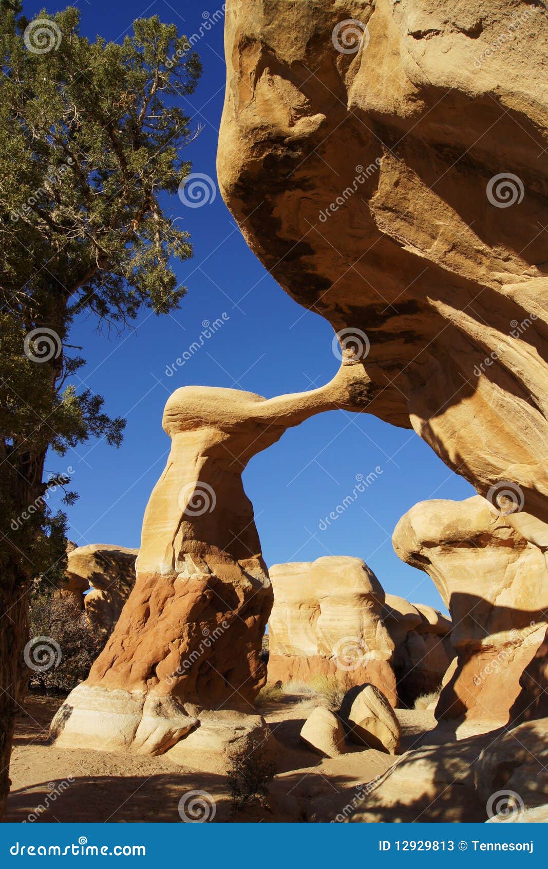 Utah Arch stock image. Image of desert, delicate, nature - 12929813