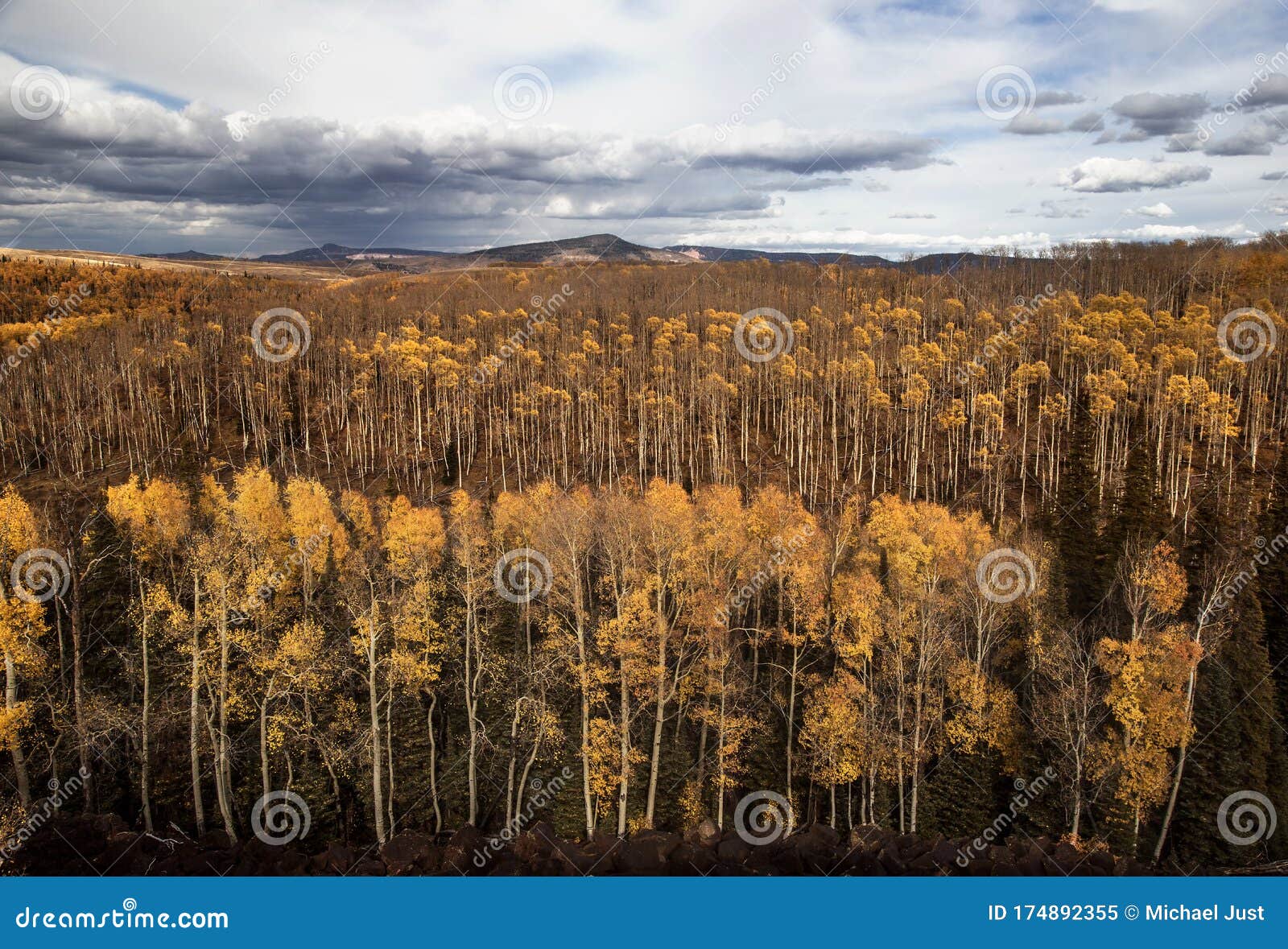 Utah Fall Colors stock image. Image of changing, leaves - 174892355