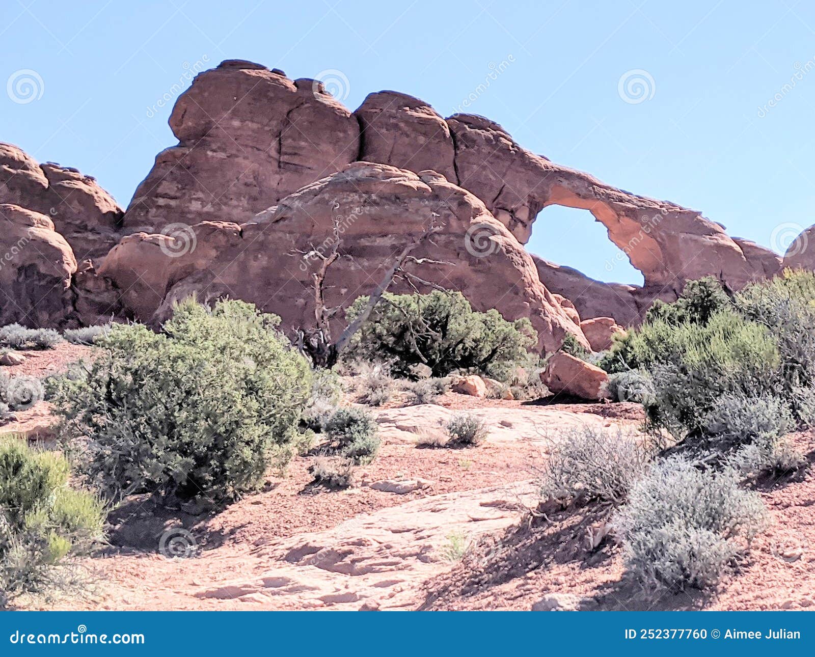 Utah rock formations stock photo. Image of utah, outdoors - 252377760