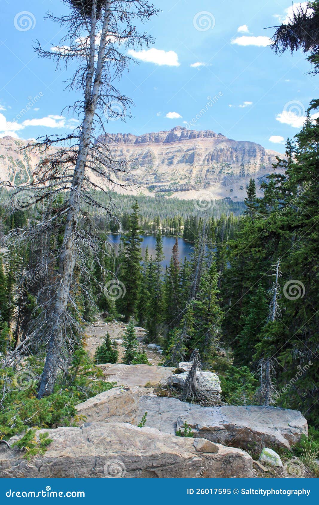 Utah s Alpine Wilderness stock image. Image of clouds - 26017595
