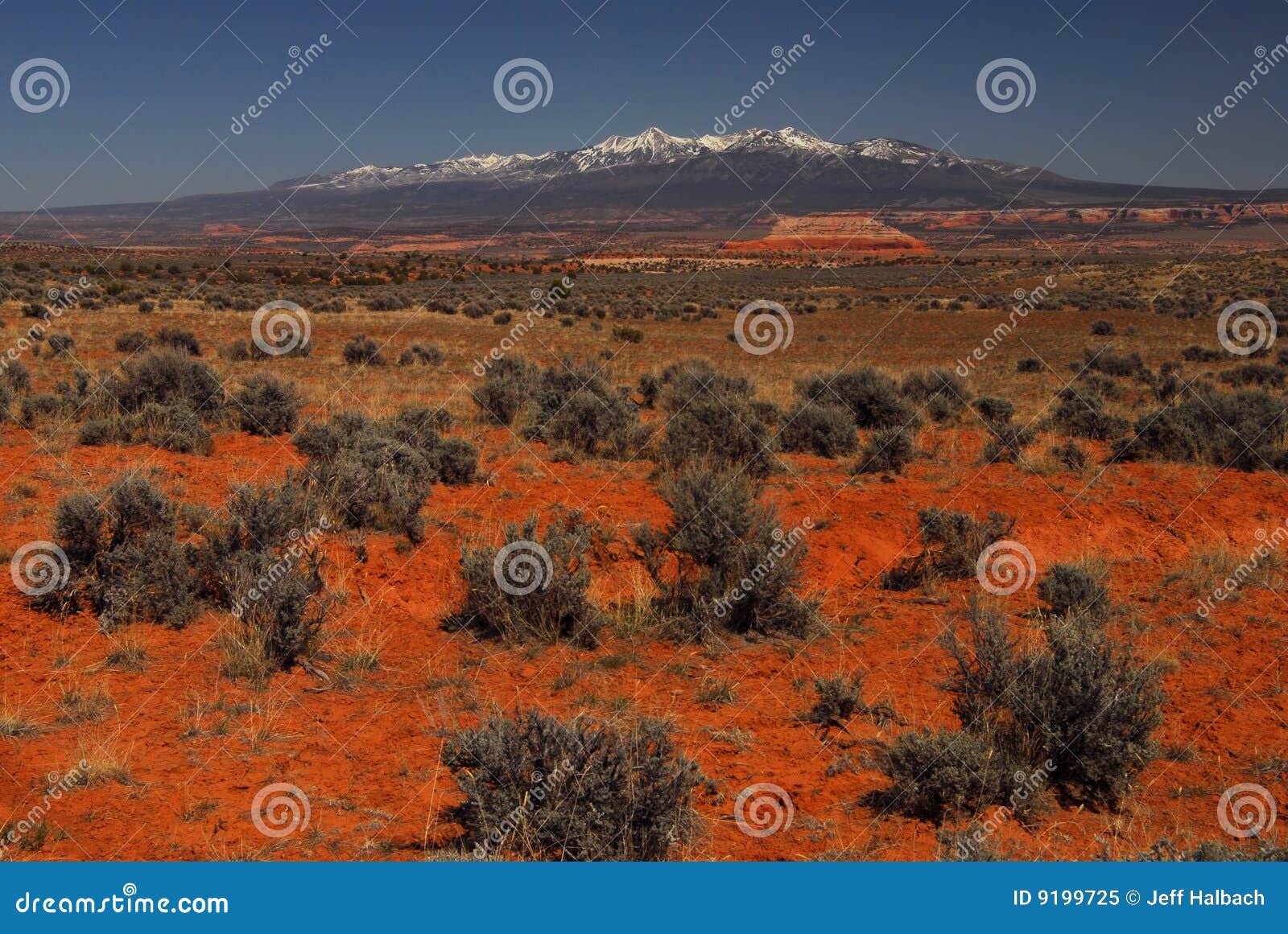 Utah sage Brush stock image. Image of source, capped, canyons - 9199725