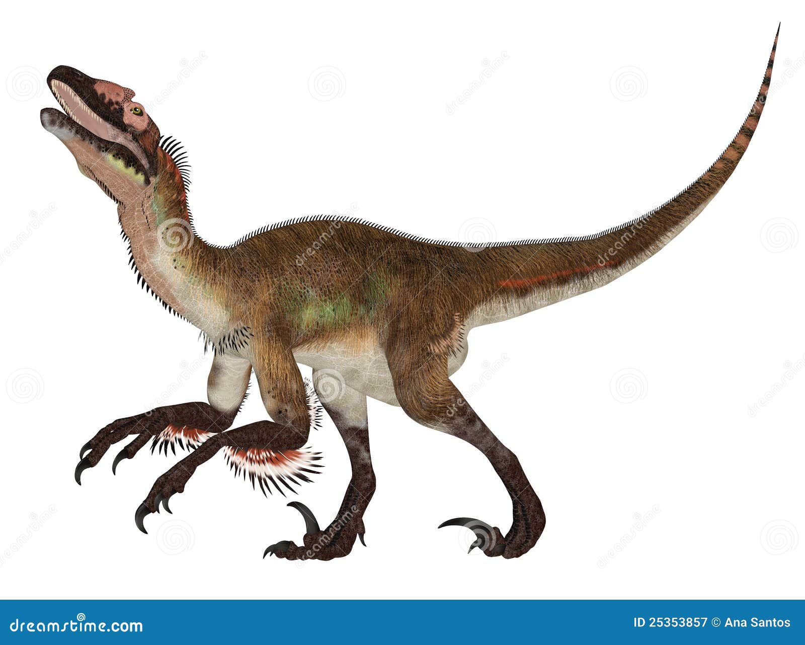 Utahraptor Dinosaur Coloring Page Illustration Cartoon Vector ...