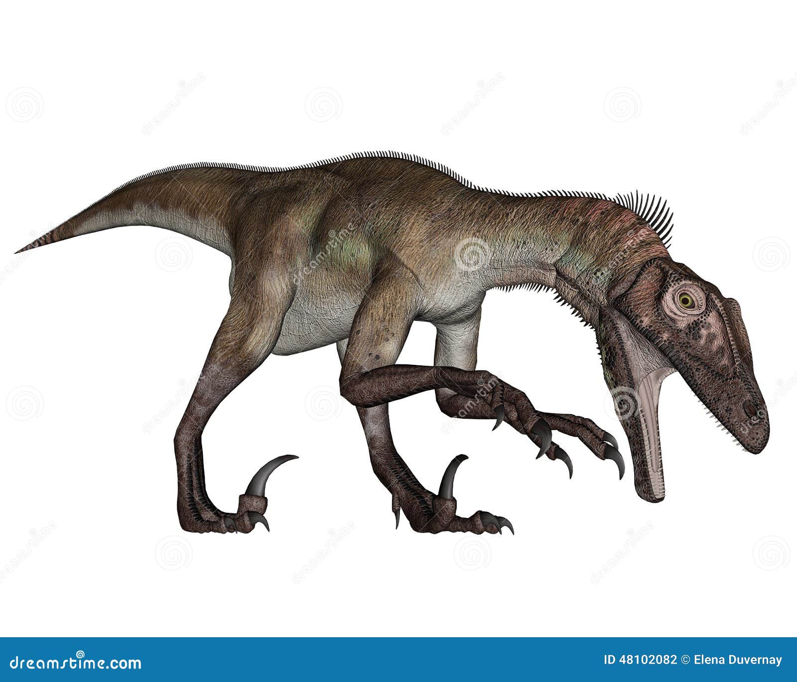 Utahraptor Dinosaur Tail Stock Image | CartoonDealer.com #178595971