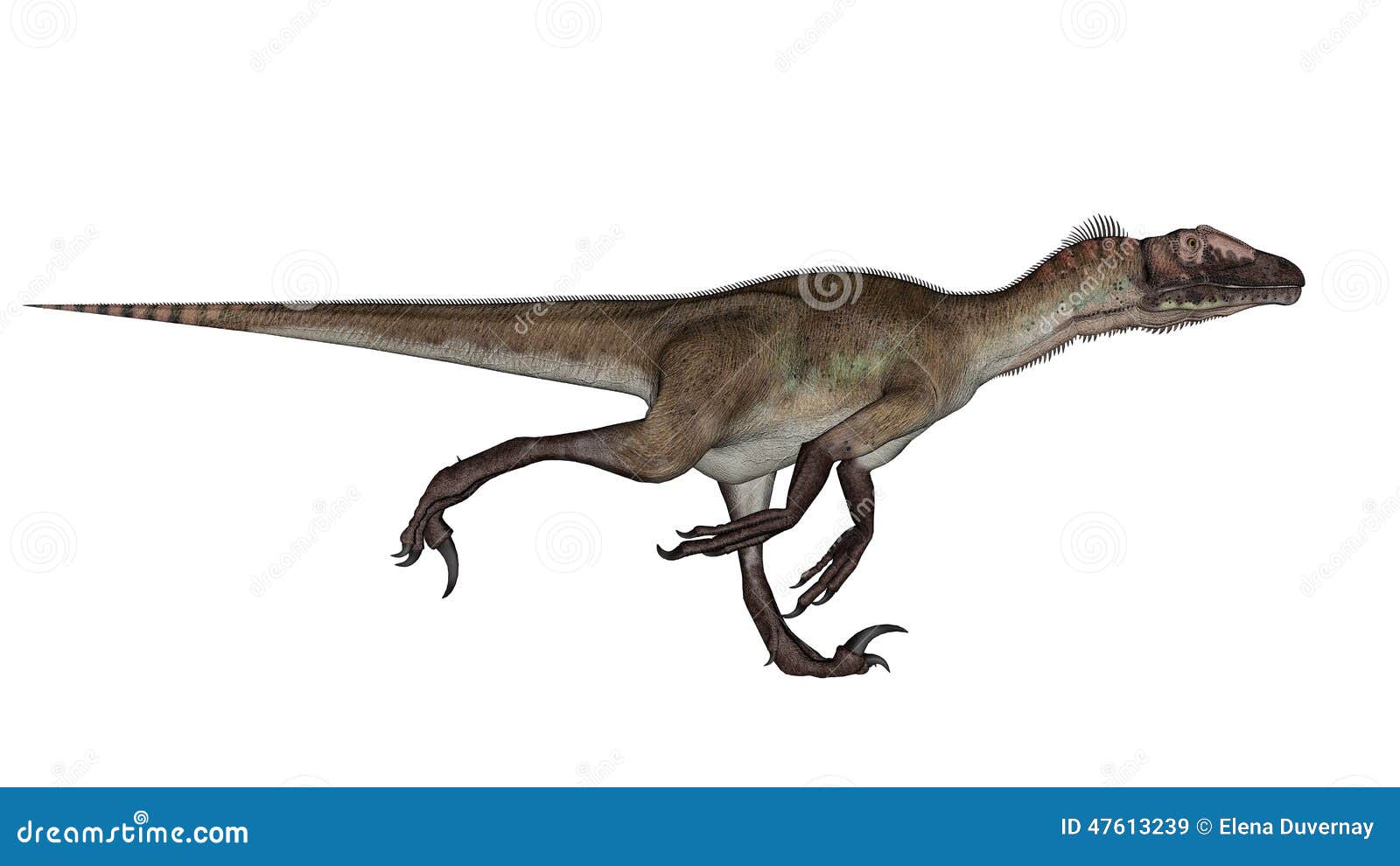 Utahraptor Dinosaur Tail Stock Image | CartoonDealer.com #178595971
