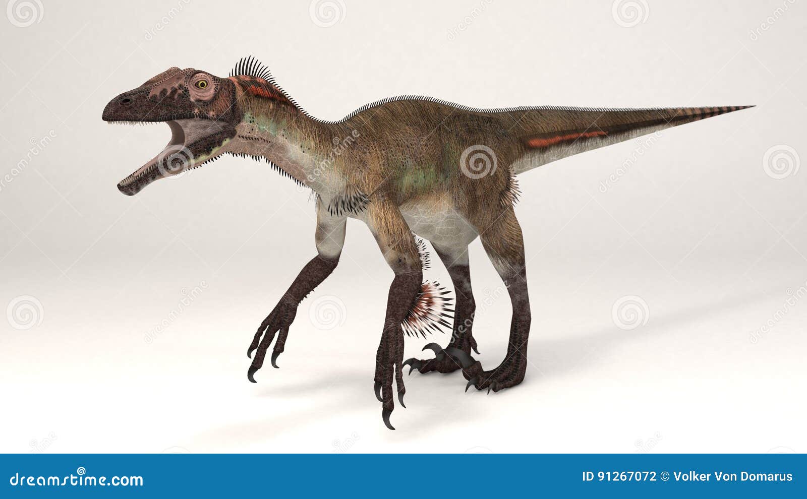 Utahraptor Feathers-Dinosaur Stock Illustration - Illustration of ...