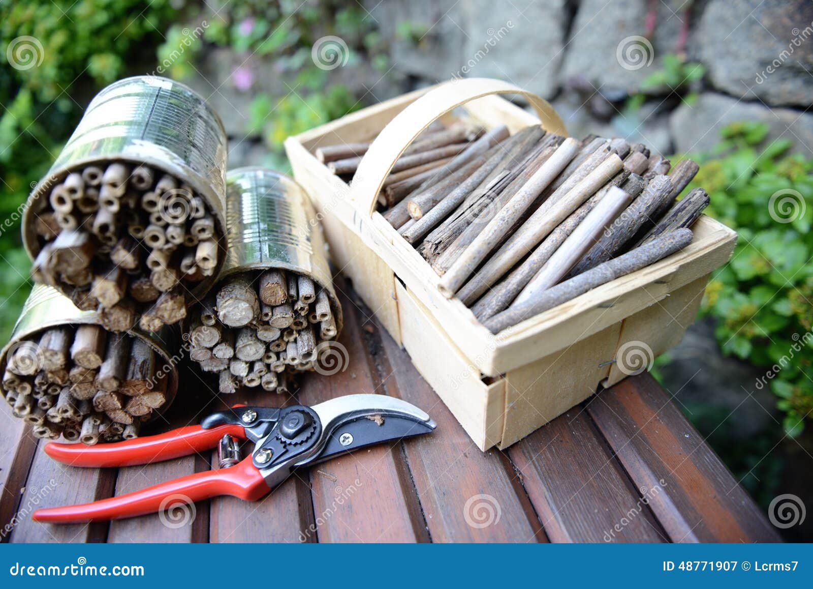 Utensile Per Lo Sviluppo Del Riparo Dell'insetto Per Le Api Selvagge Su ... Utensile Per Lo Sviluppo Del Riparo Dell'insetto Per Le Api Selvagge Su ...
