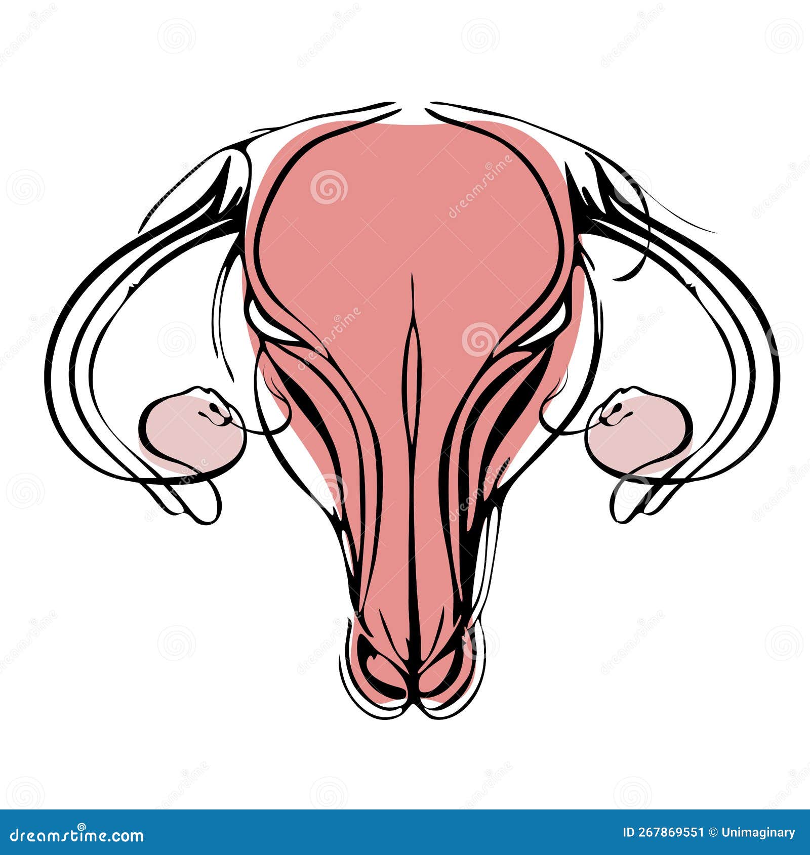 Stylized Uterus From The Head Of A Horned Cow And Snakes Cartoon Vector ...