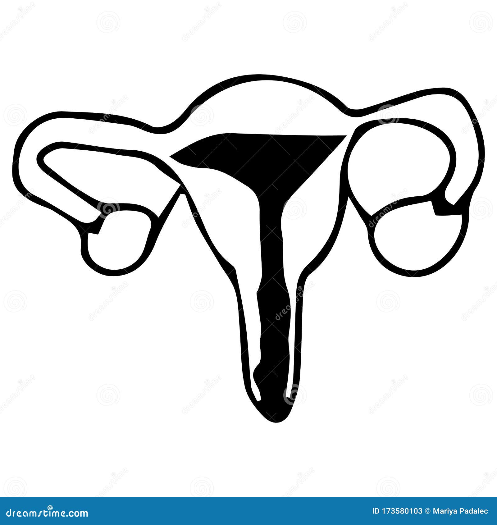 Uterus In Doodle Style On An Isolated White Background Women S Hygiene