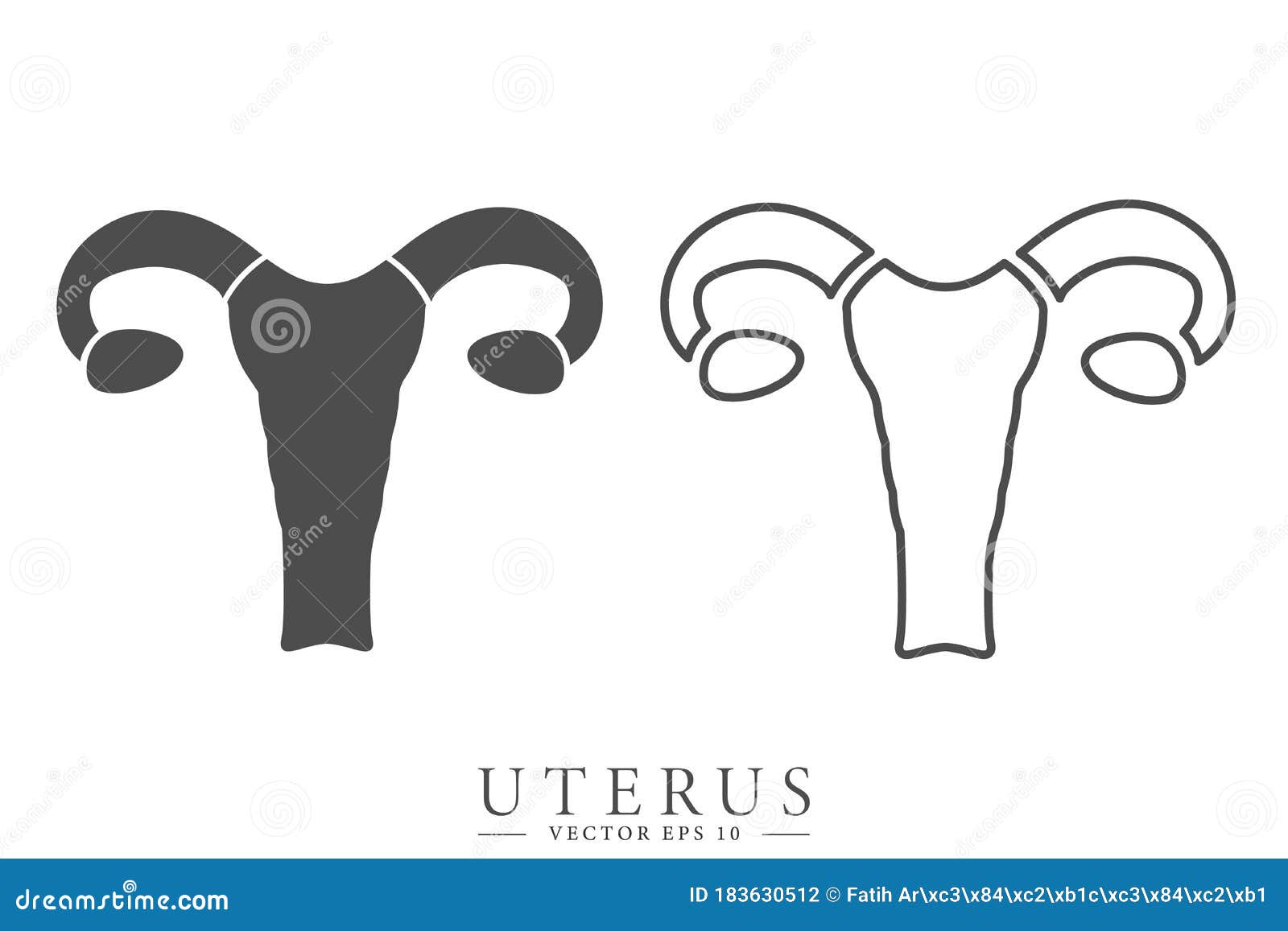 Uterus Icon Female Reproductive System Vector Illustration Isolated