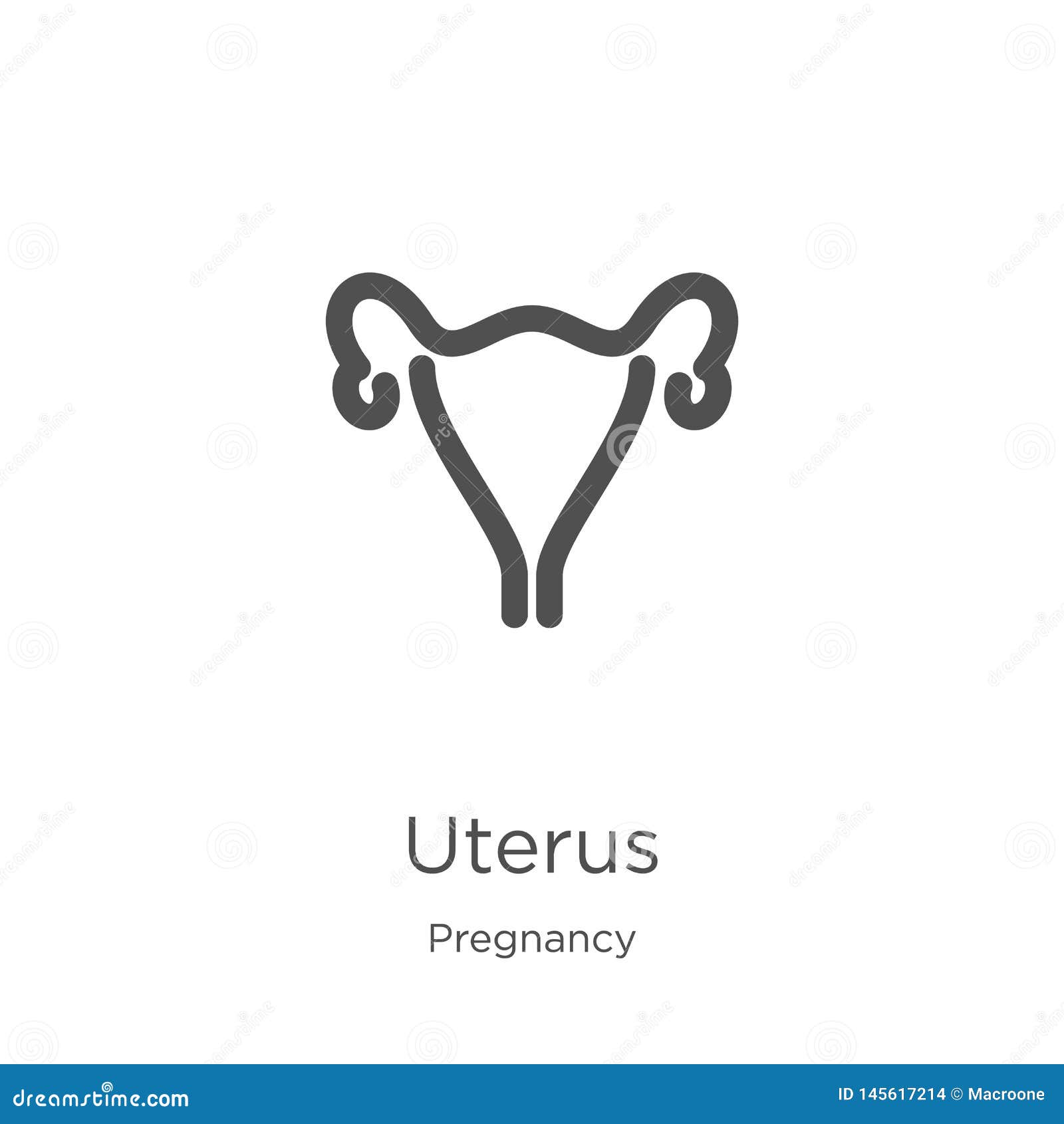 Uterus Icon Vector from Pregnancy Collection. Thin Line Uterus Outline ...