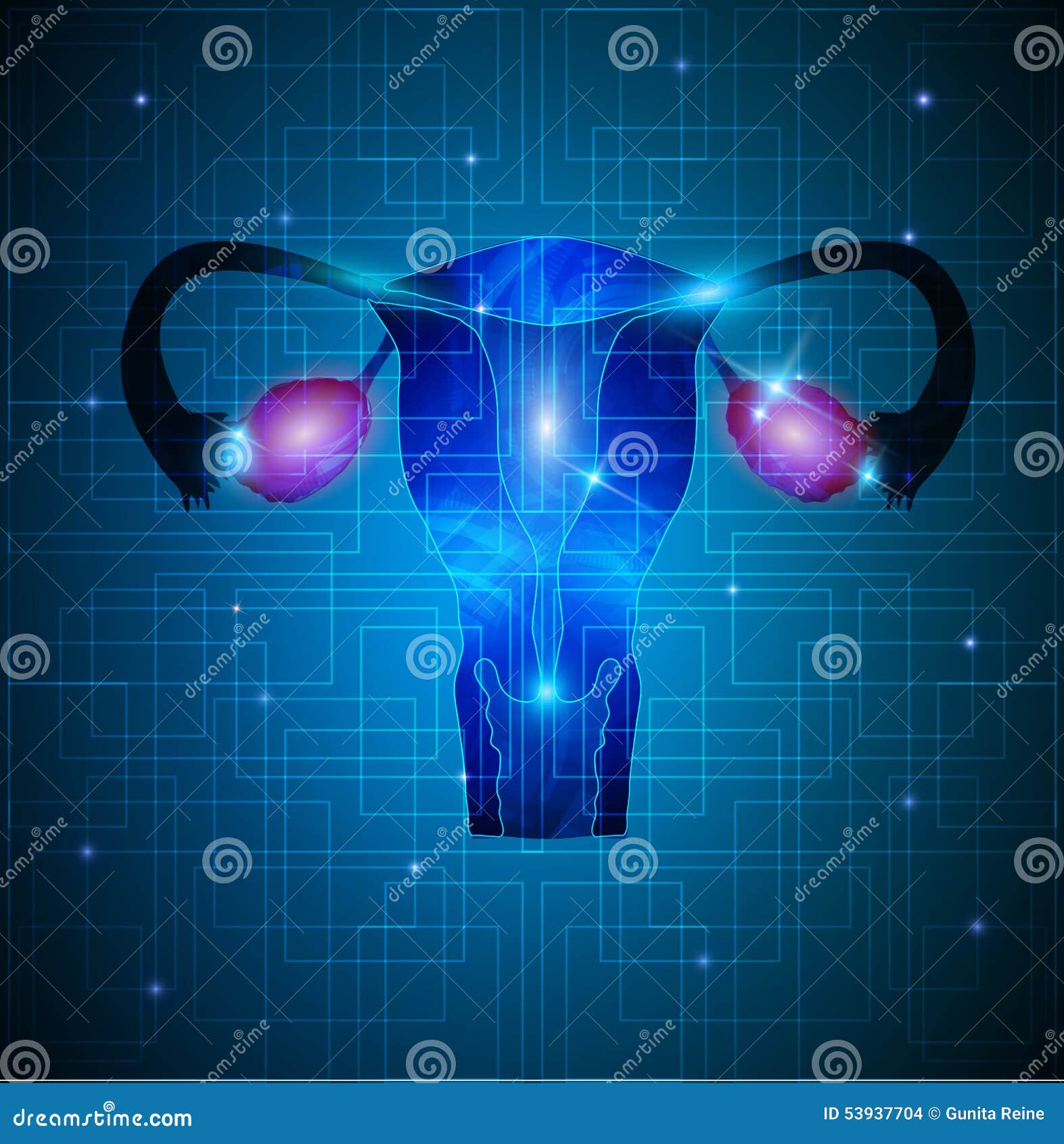 Uterus and Ovaries Abstract Background Stock Vector - Illustration of ...