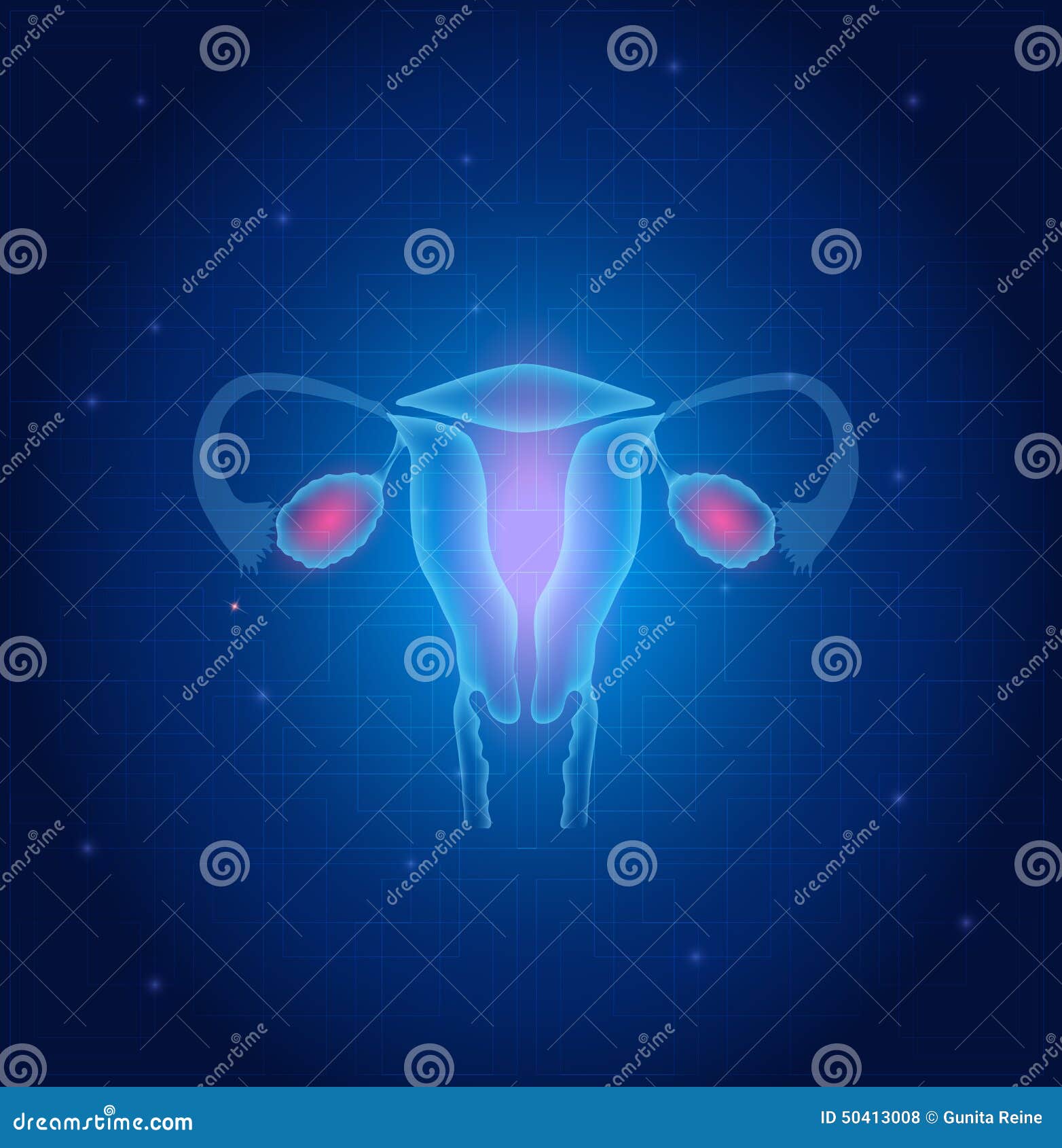 Uterus and Ovaries Background Stock Vector - Illustration of gynecology ...
