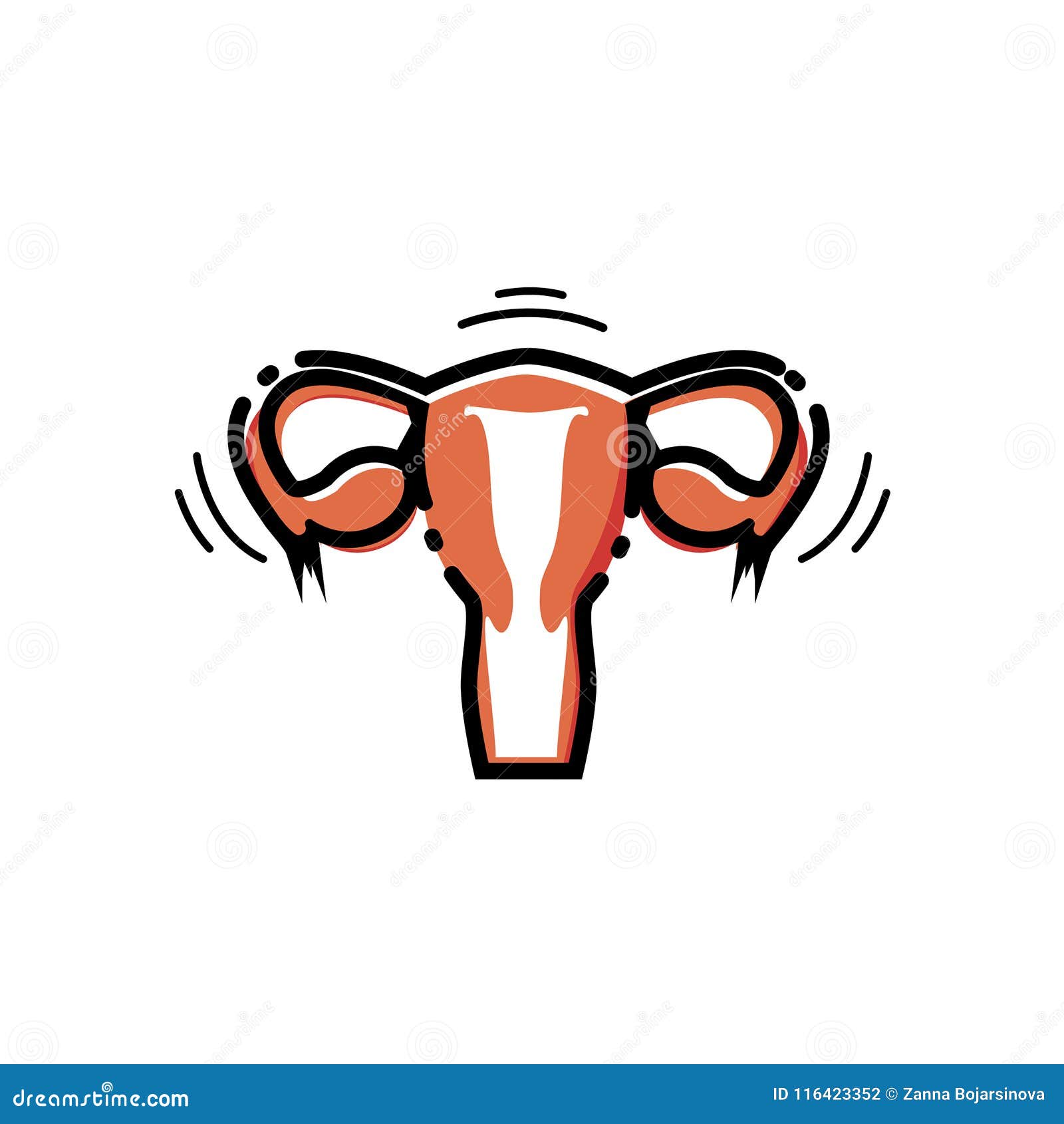 Uterus vector icon. stock vector. Illustration of reproductive - 116423352