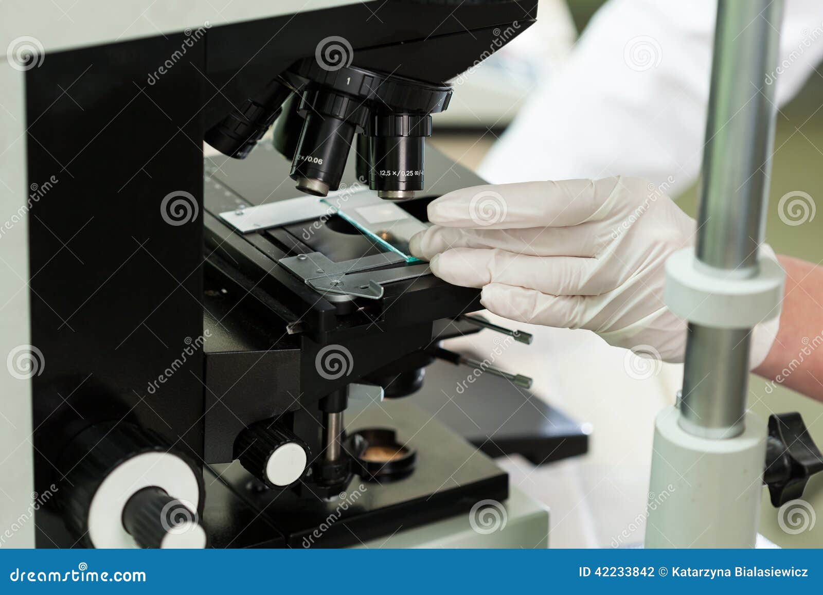 Utilisant Le Microscope Dans Le Laboratoire De Microbiologie Photo ...
