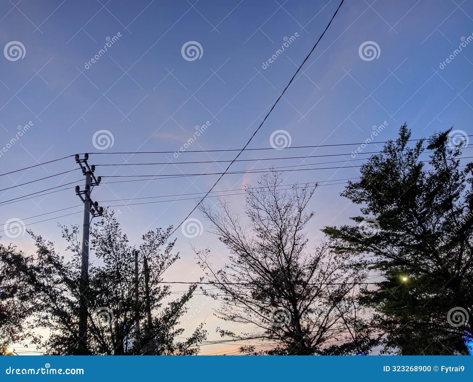 Utility Electric Poles with Trees and Sunset Sky Background Stock Photo ...