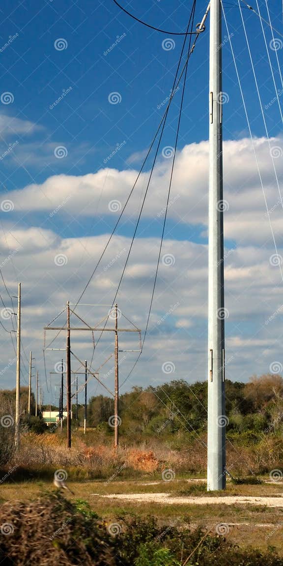 Utility Lines stock photo. Image of florida, post, enviornmental - 1960266
