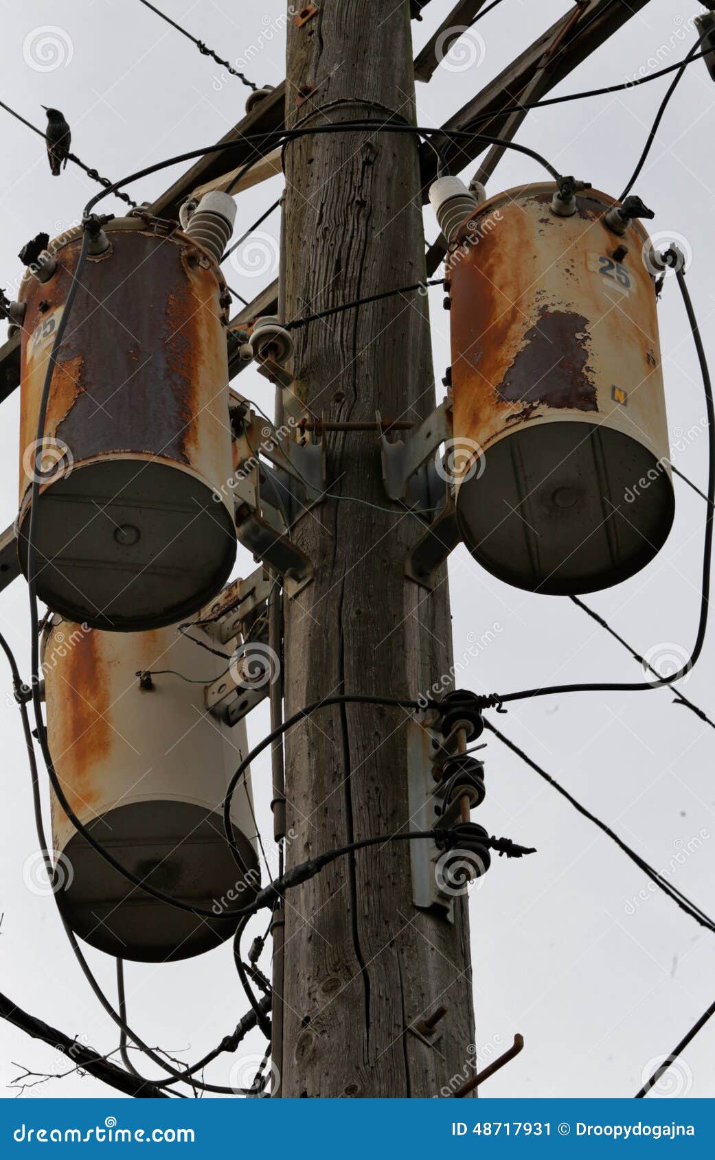Utility pole stock image. Image of units, control, wire - 48717931