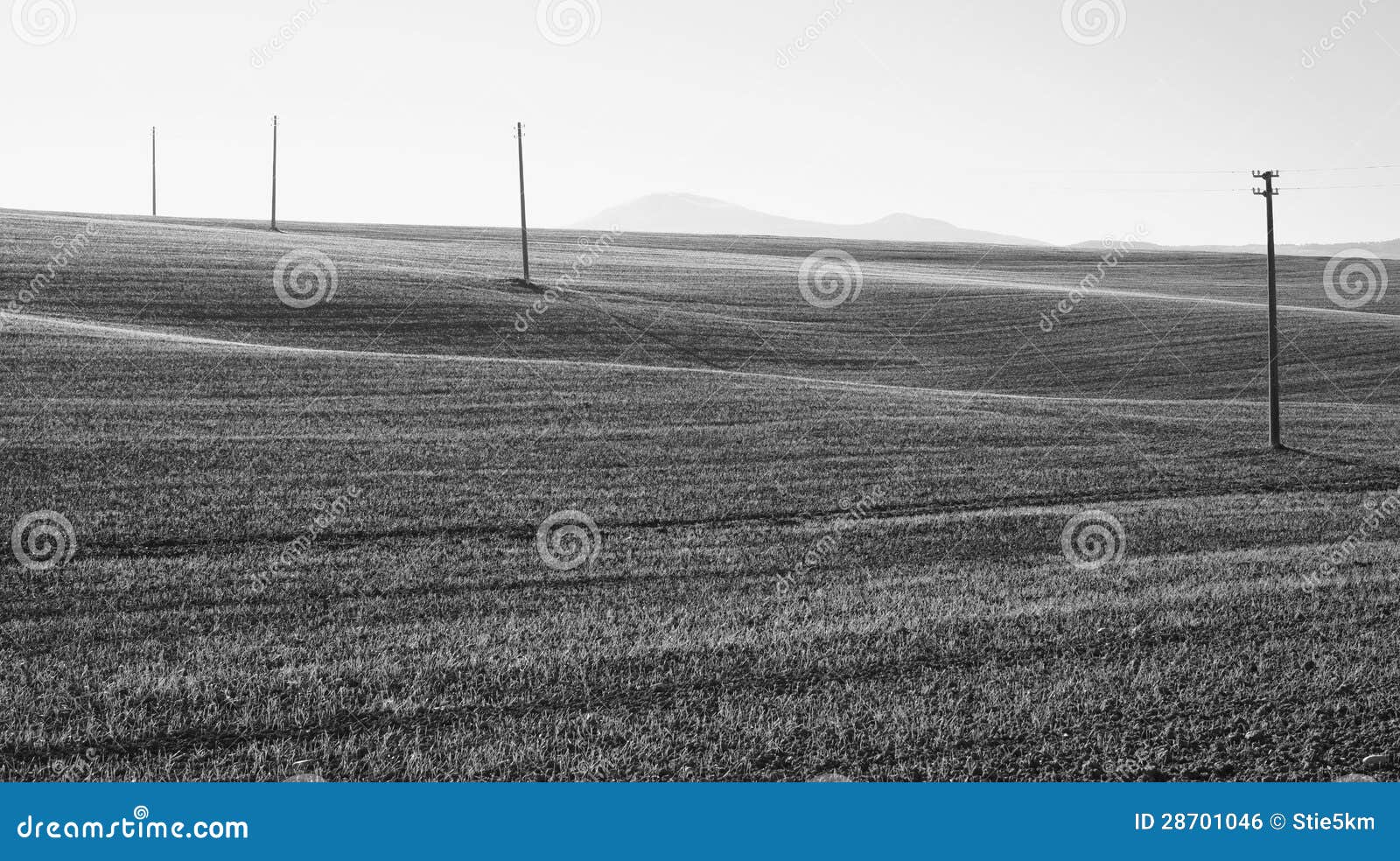 Utility poles stock photo. Image of hills, shadows, sticks - 28701046