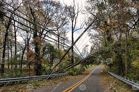 Utility Power Line and Pole Toppled by Fallen Tree Stock Photo - Image ...