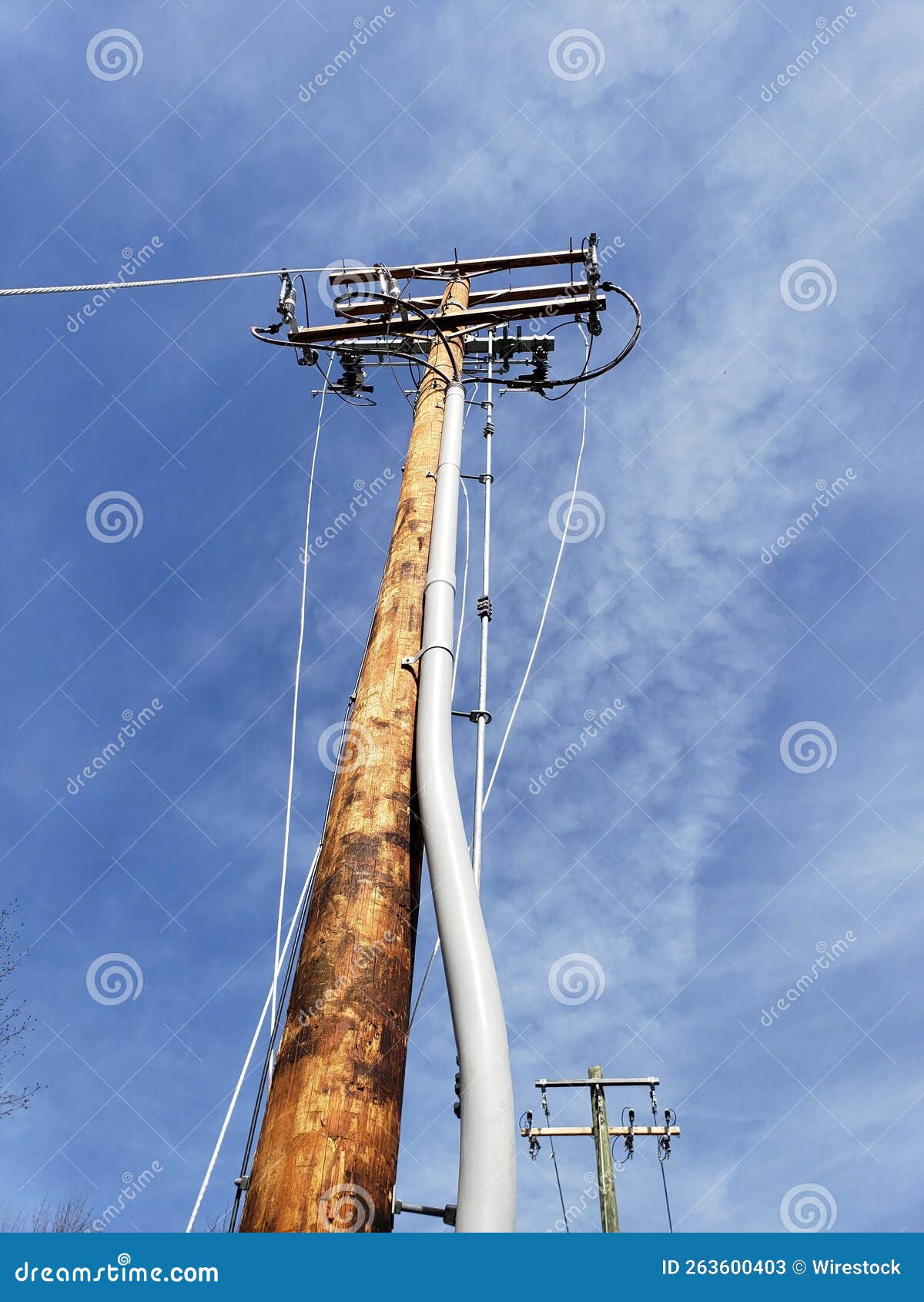 Utility Riser Pole Disconnect Stock Image - Image of cable, electricity ...