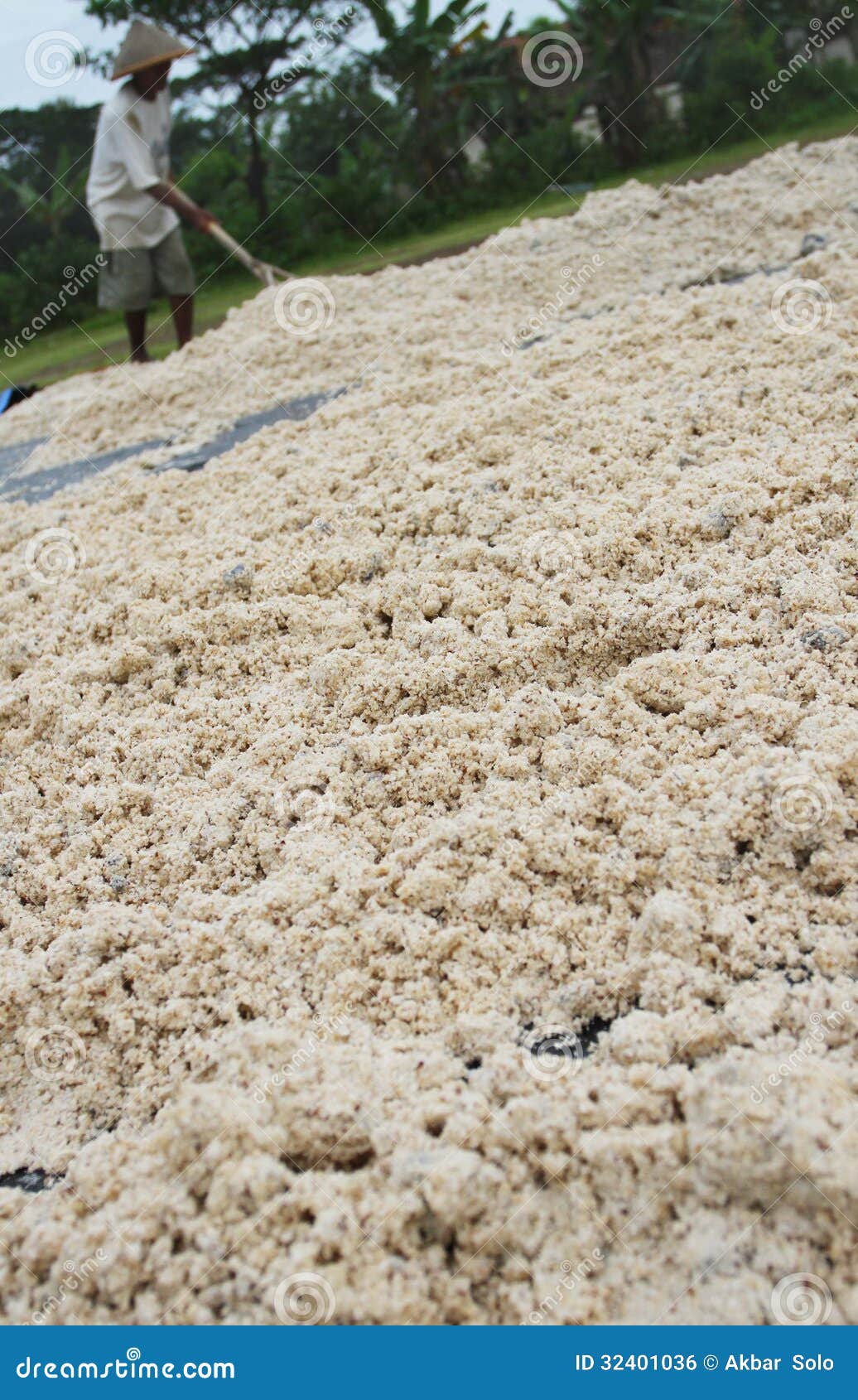 Utilization of Tapioca Wastes Editorial Photo - Image of tapioca ...