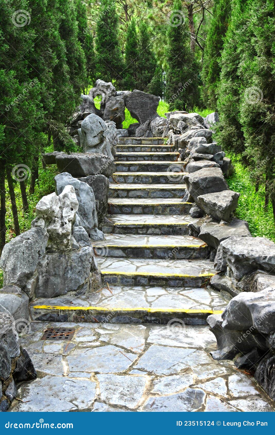 Utomhus- trappa arkivfoto. Bild av mossa, insikt, trappa - 23515124