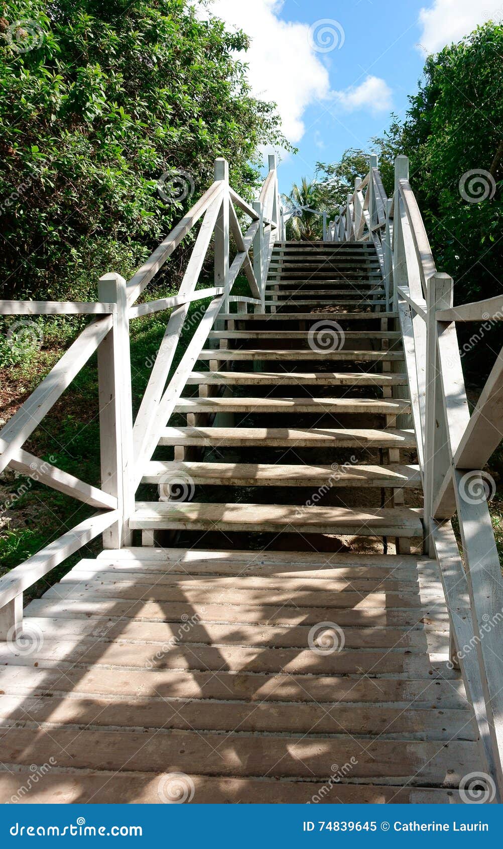Utomhus- trappa fotografering för bildbyråer. Bild av tropiskt - 74839645