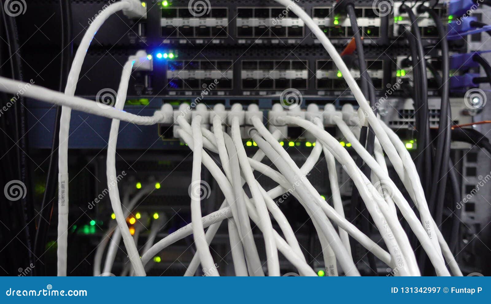 UTP Cables are Connected To a Network Switch. Network Activity on ...