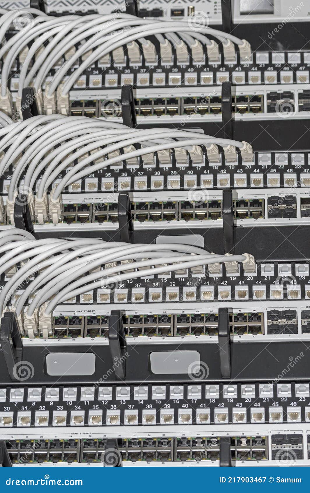 UTP Cat5e Cable with Patch Panel Stock Image - Image of business, data ...