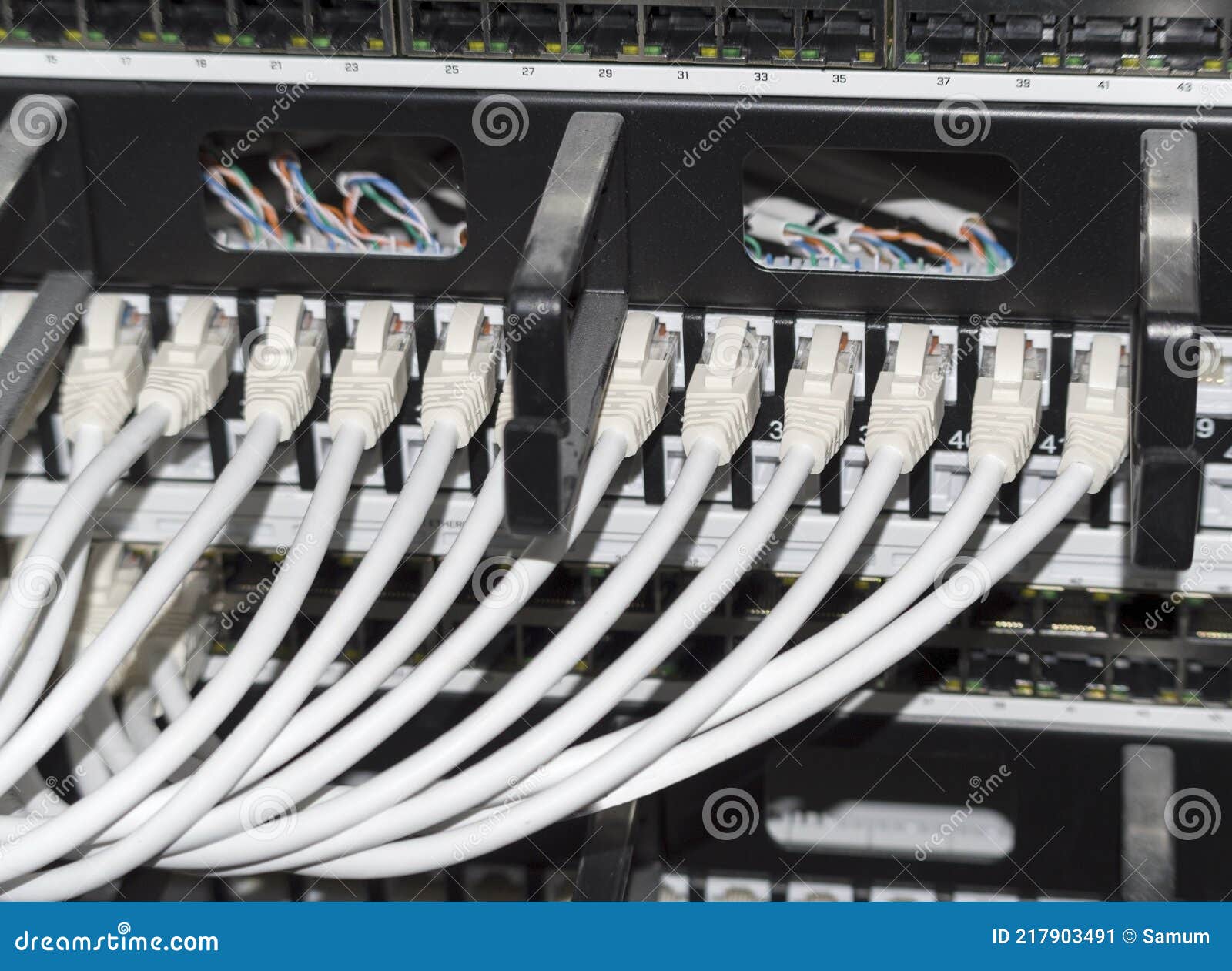 UTP Cat5e Cable with Patch Panel Stock Image - Image of connector ...