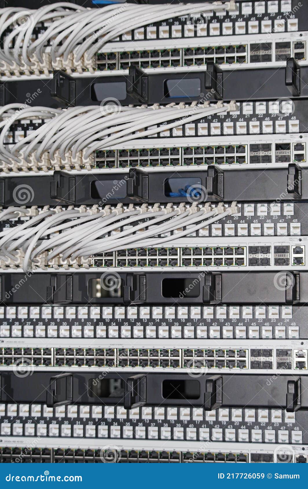 STP LAN CAT5e Cable Wires Shaped Like A Hand Are Holding A Cable With ...