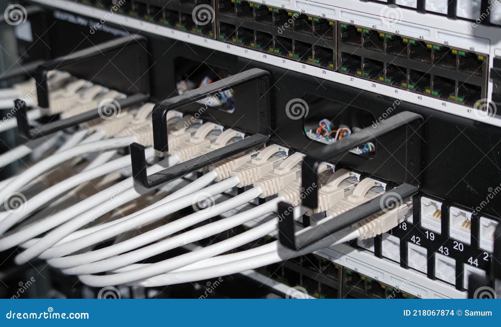 UTP Cat5e Cable with Patch Panel Stock Photo - Image of equipment ...