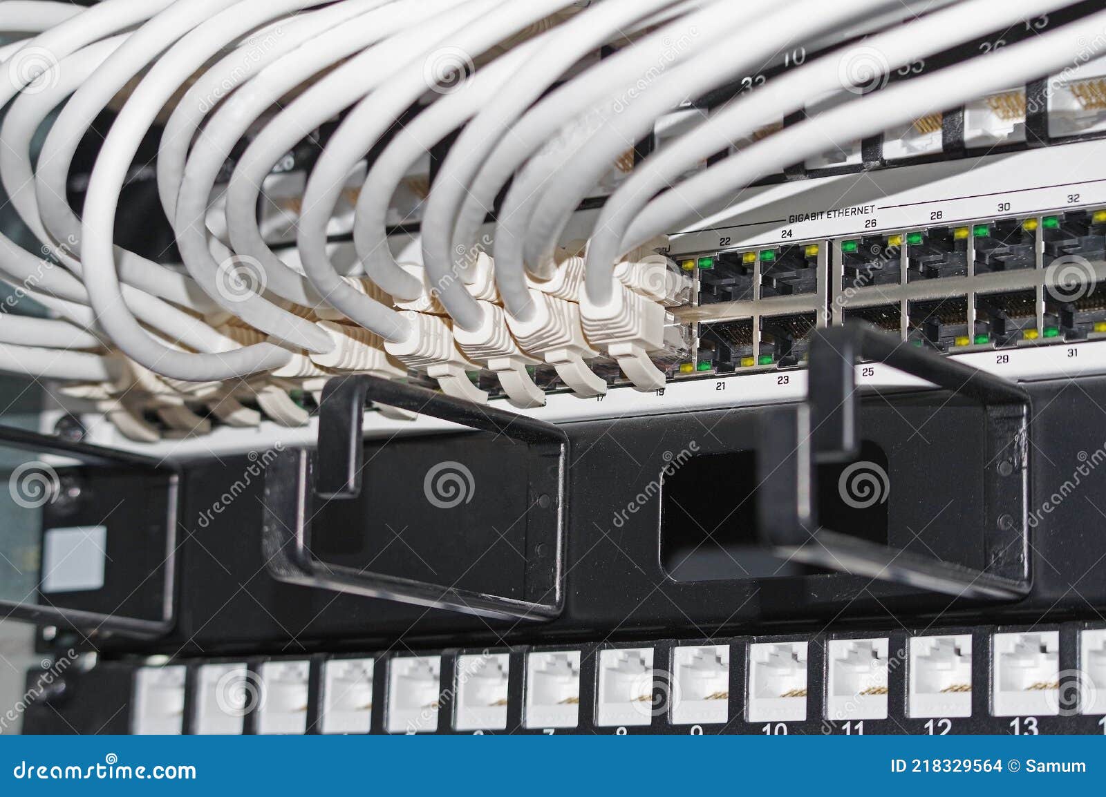 STP LAN CAT5e Cable Wires Shaped Like A Hand Are Holding A Cable With ...