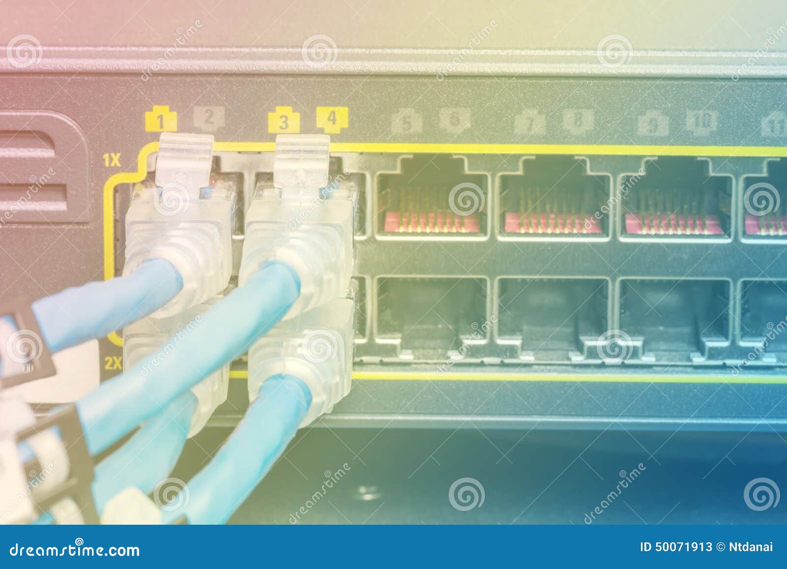 UTP ethernet cables stock image. Image of ethernet, switch - 50071913