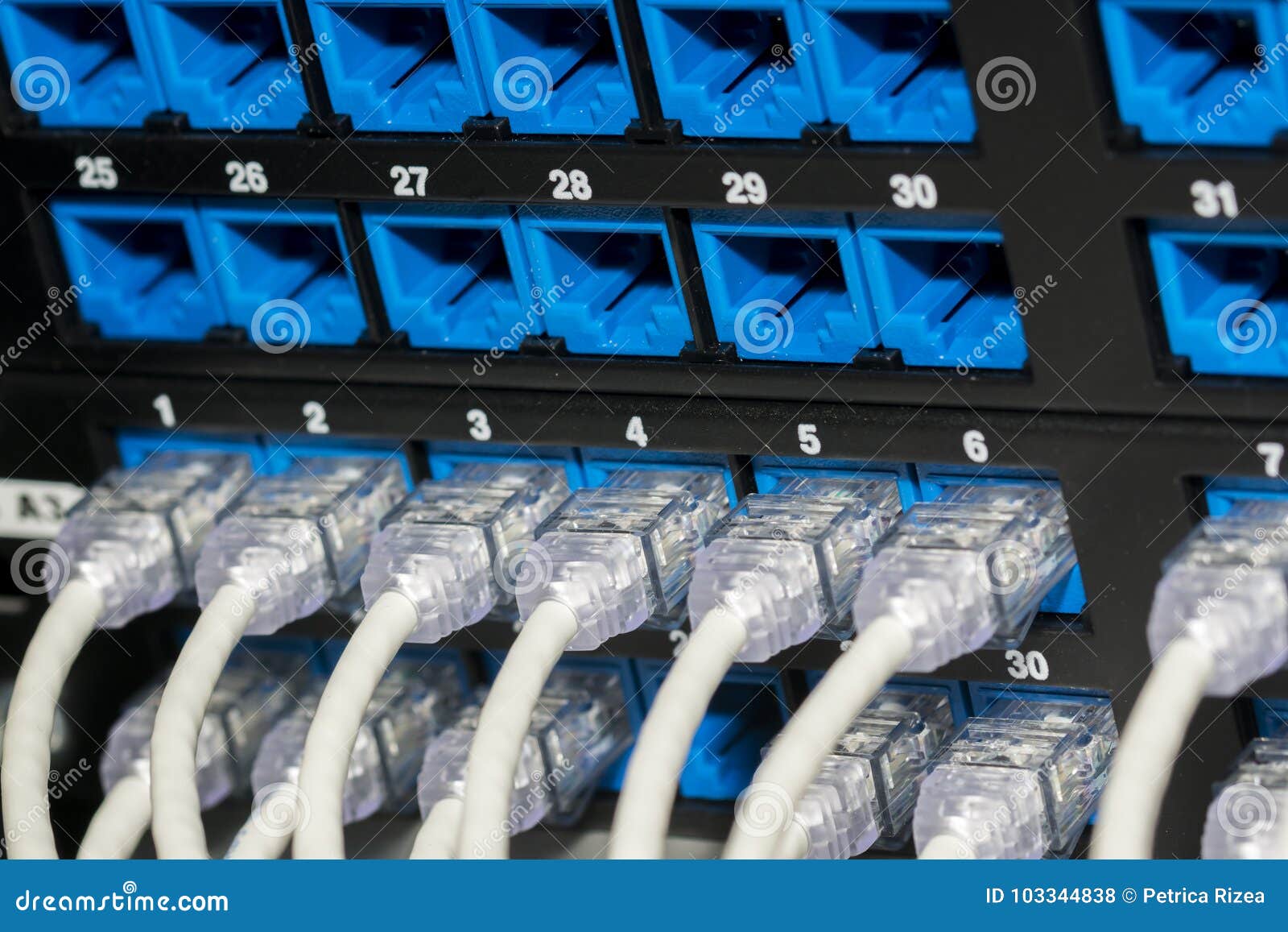 UTP - RJ45 Cables Connector Panel Stock Photo - Image of bandwidth ...