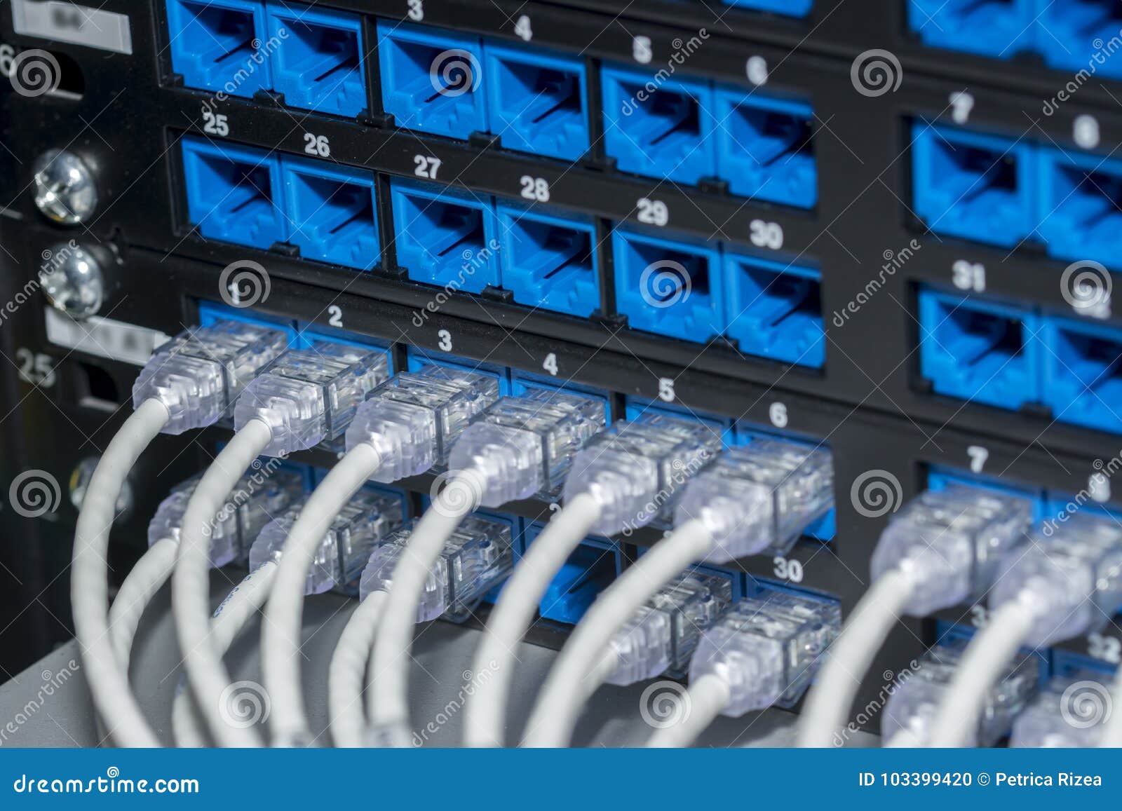 UTP - RJ45 Cables Connector Panel Stock Photo - Image of center ...