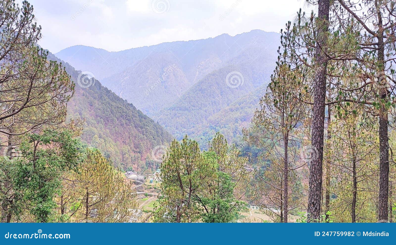 Mountains of Uttarakhand stock photo. Image of high - 247759982