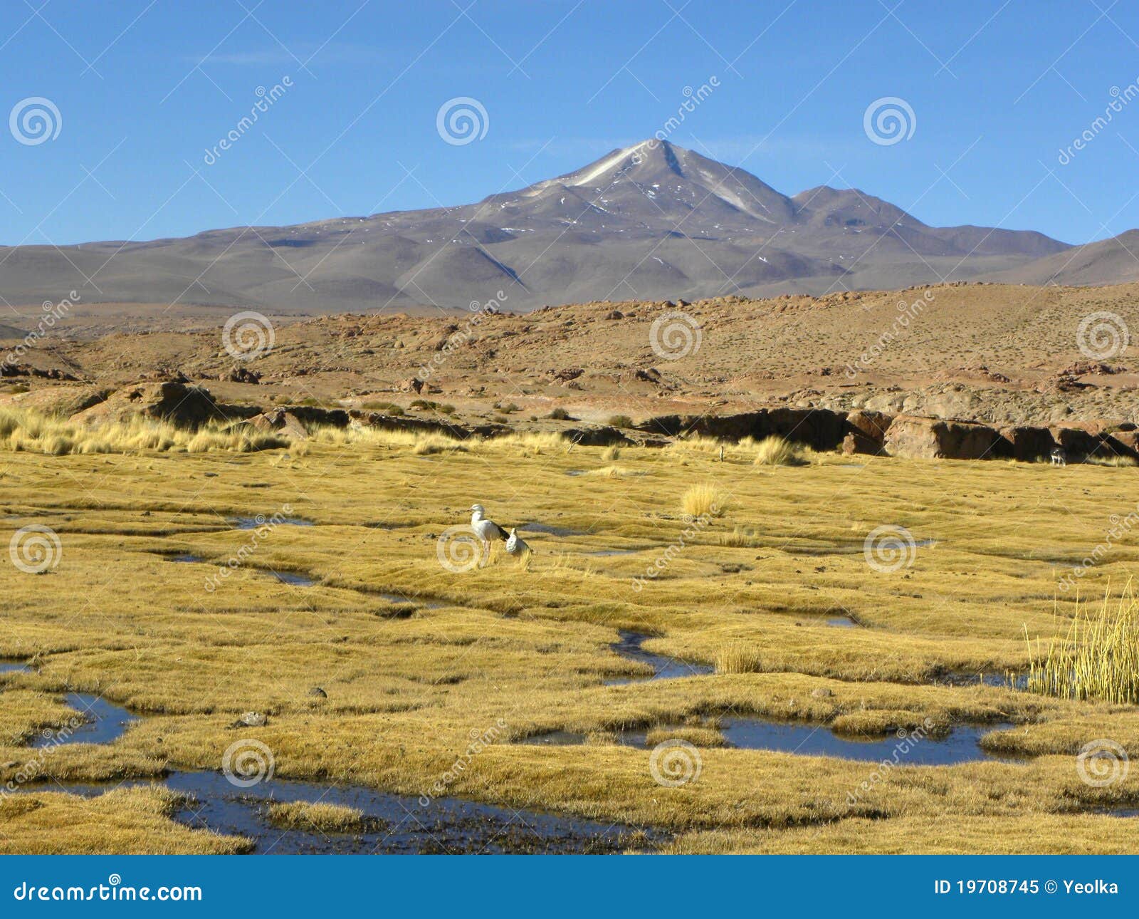 Uturunku Volcano, Altiplano, Bolivia. Stock Image - Image of volcano ...