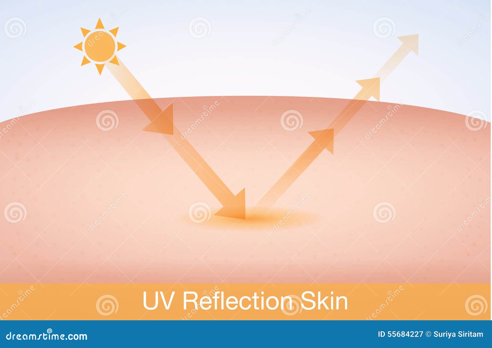 Uv Reflection Stock Illustrations – 218 Uv Reflection Stock ...