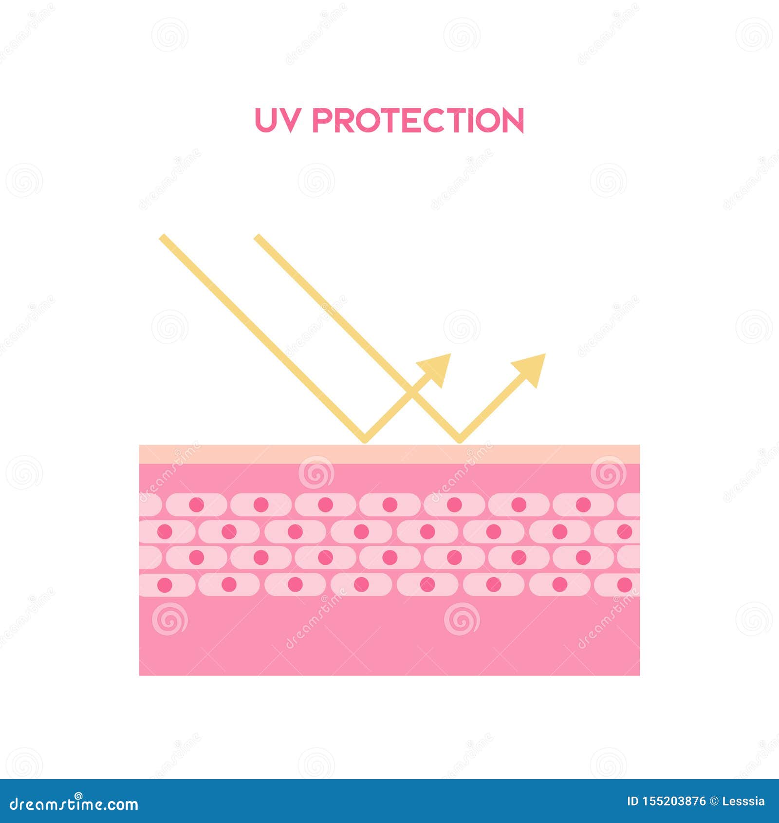 UV Reflection Skin after Protection. Flat Vector Illustration Stock ...