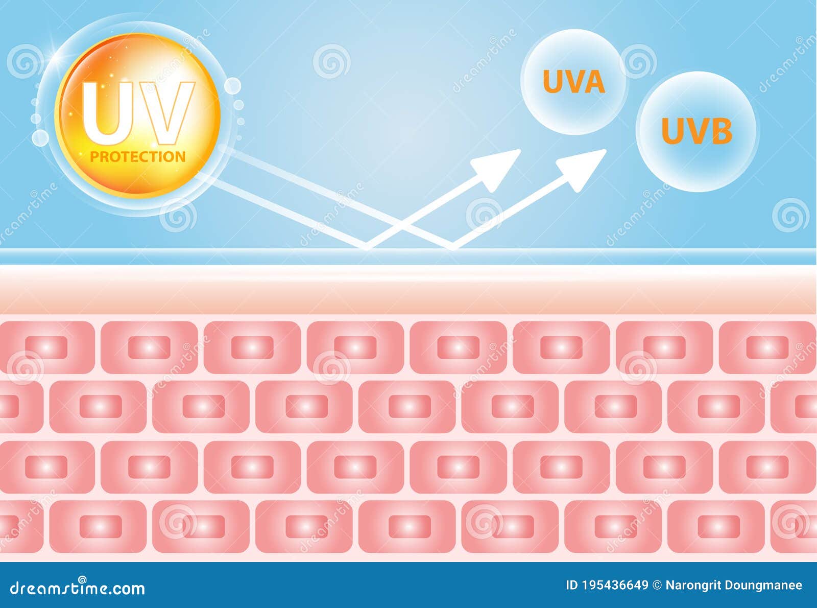 UV Reflection Skin after Protection Vector Design Stock Vector ...