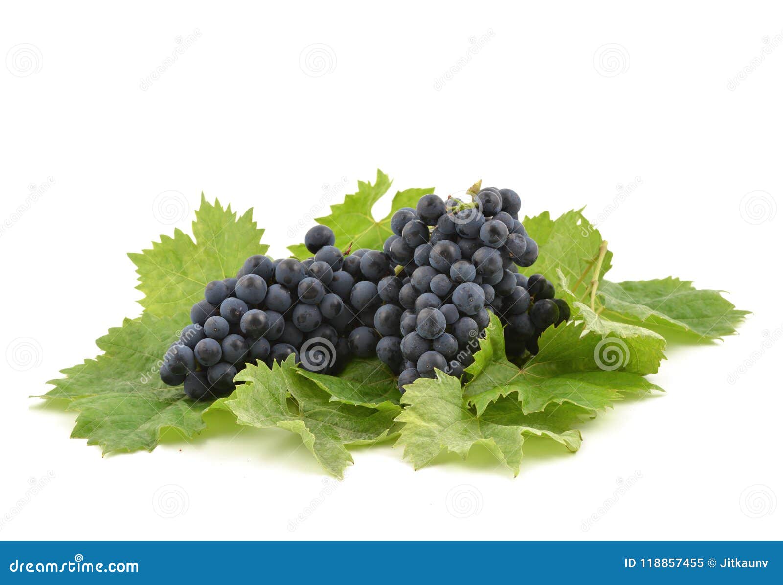Uva azul marino de Muscat imagen de archivo. Imagen de aislado - 118857455
