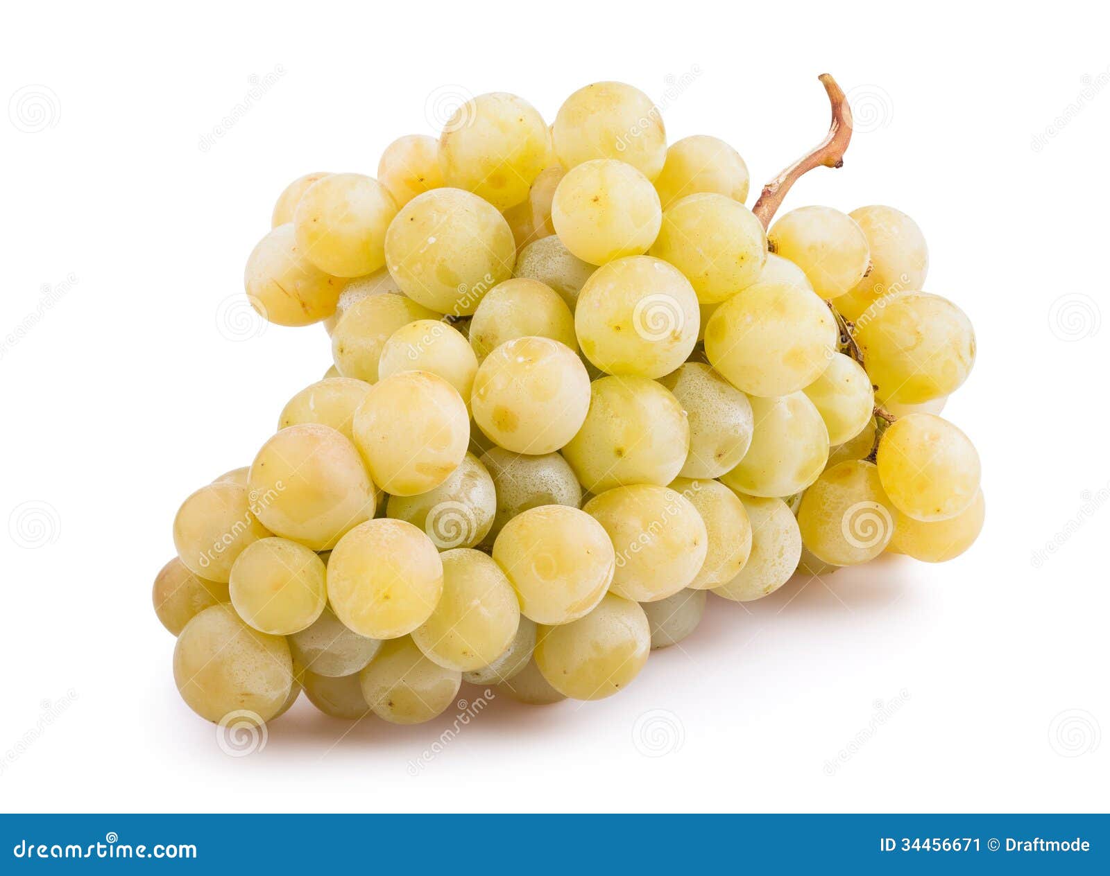 Uva de Muscat imagen de archivo. Imagen de travieso, estudio - 34456671