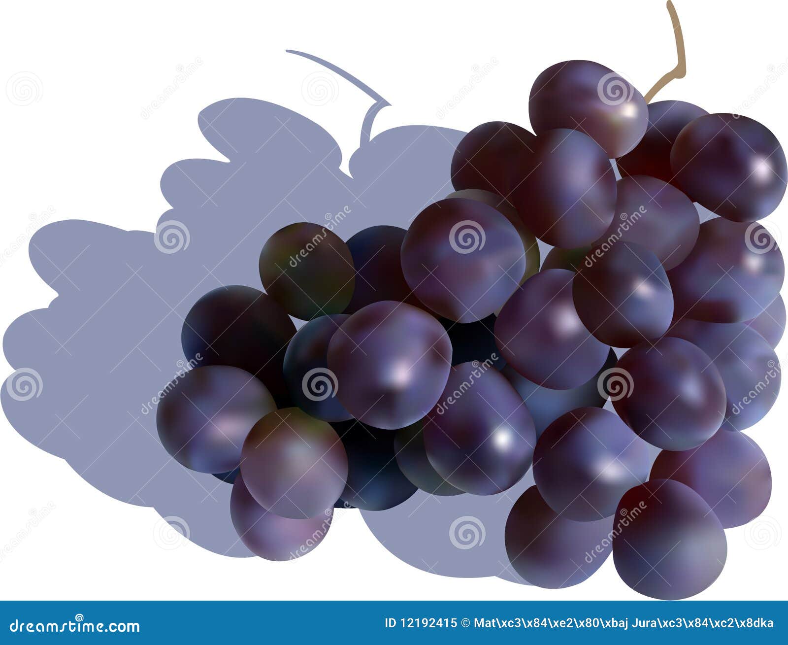 Uva del vector stock de ilustración. Ilustración de verano - 12192415