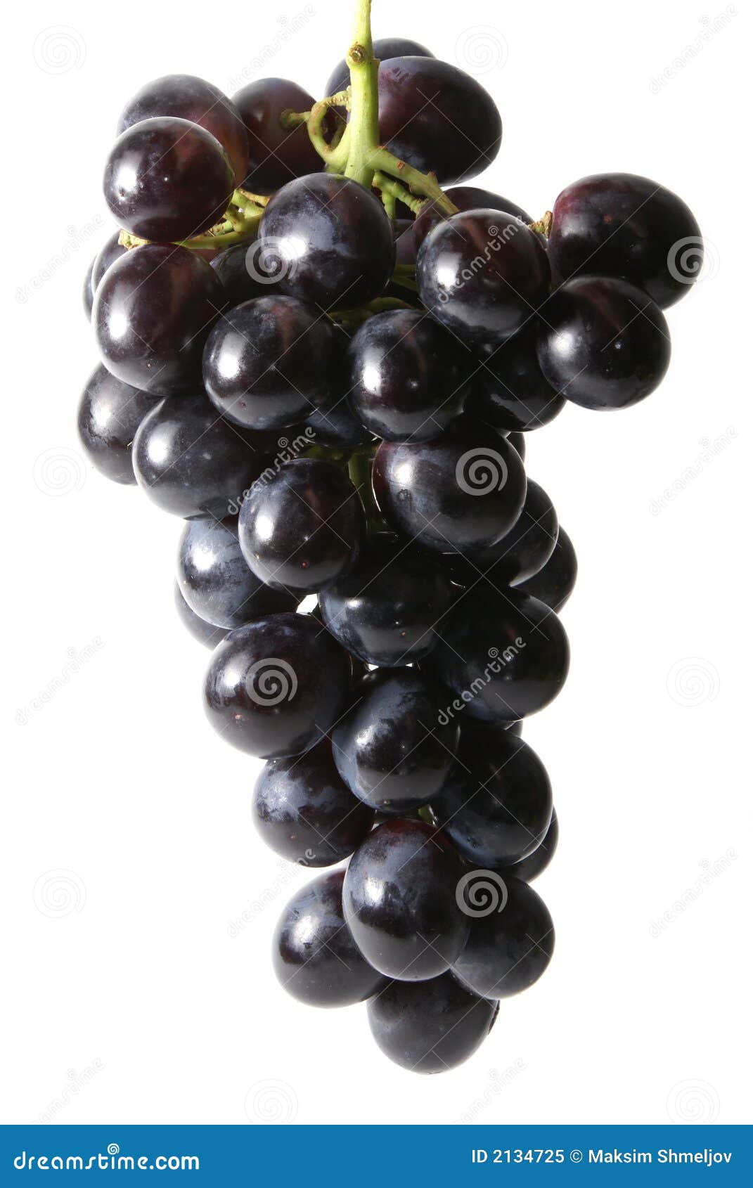 Uva isolated on white stock image. Image of plant, background - 2134725