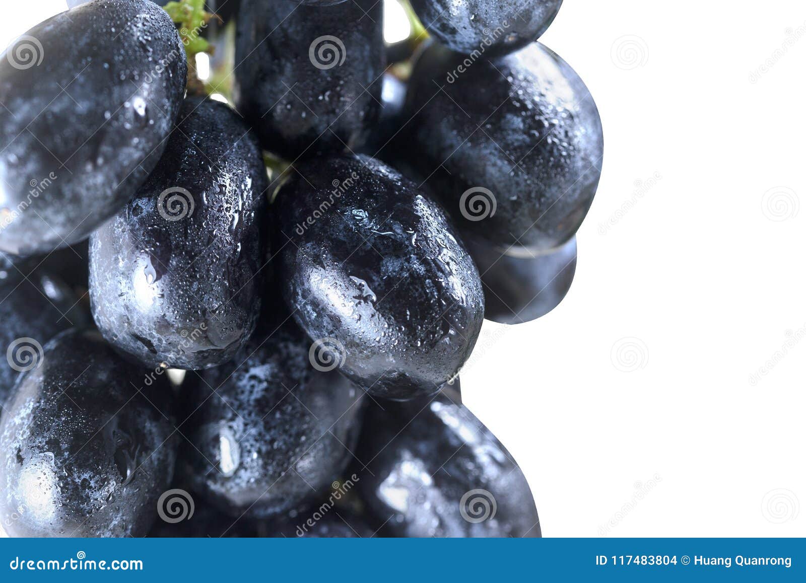 Uva negra foto de archivo. Imagen de aislado, brillante - 117483804