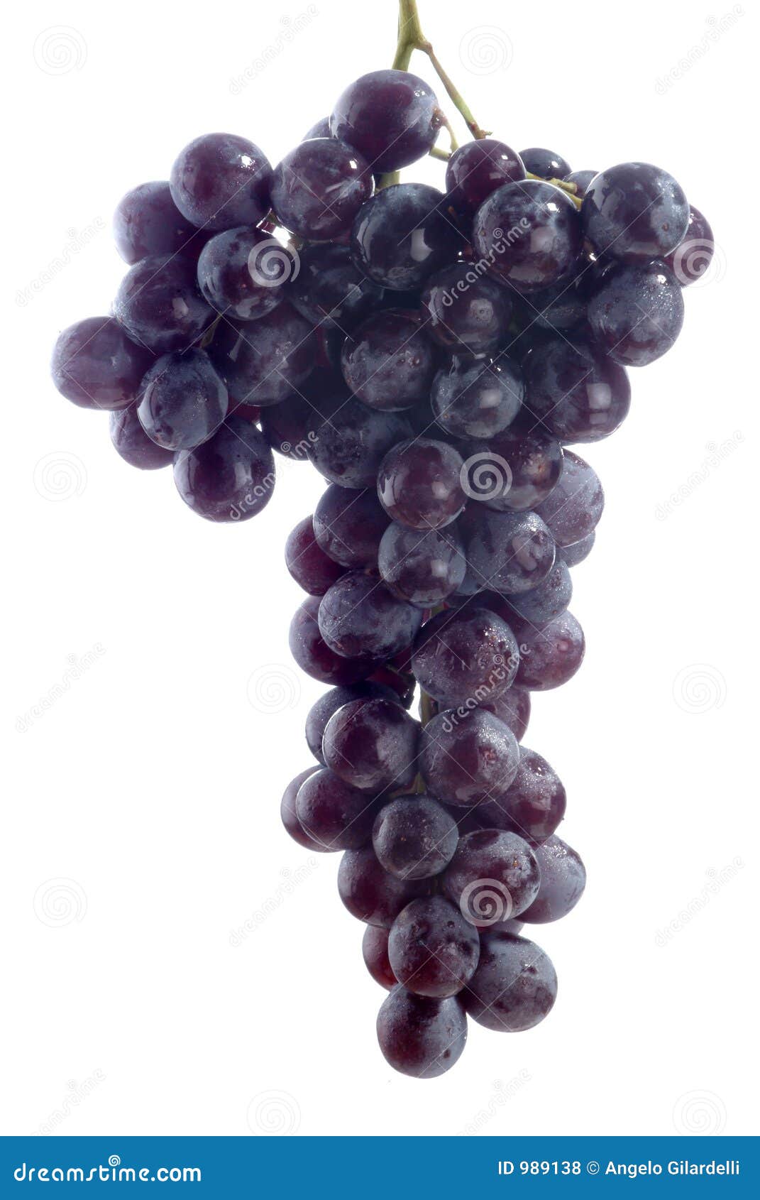 Uva negra foto de archivo. Imagen de manojo, negro, fruta - 989138