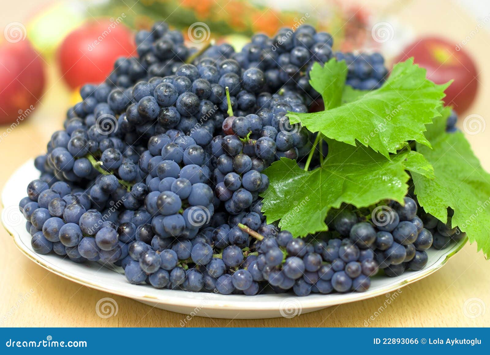 Uva negra fresca foto de archivo. Imagen de toscana, azul - 22893066