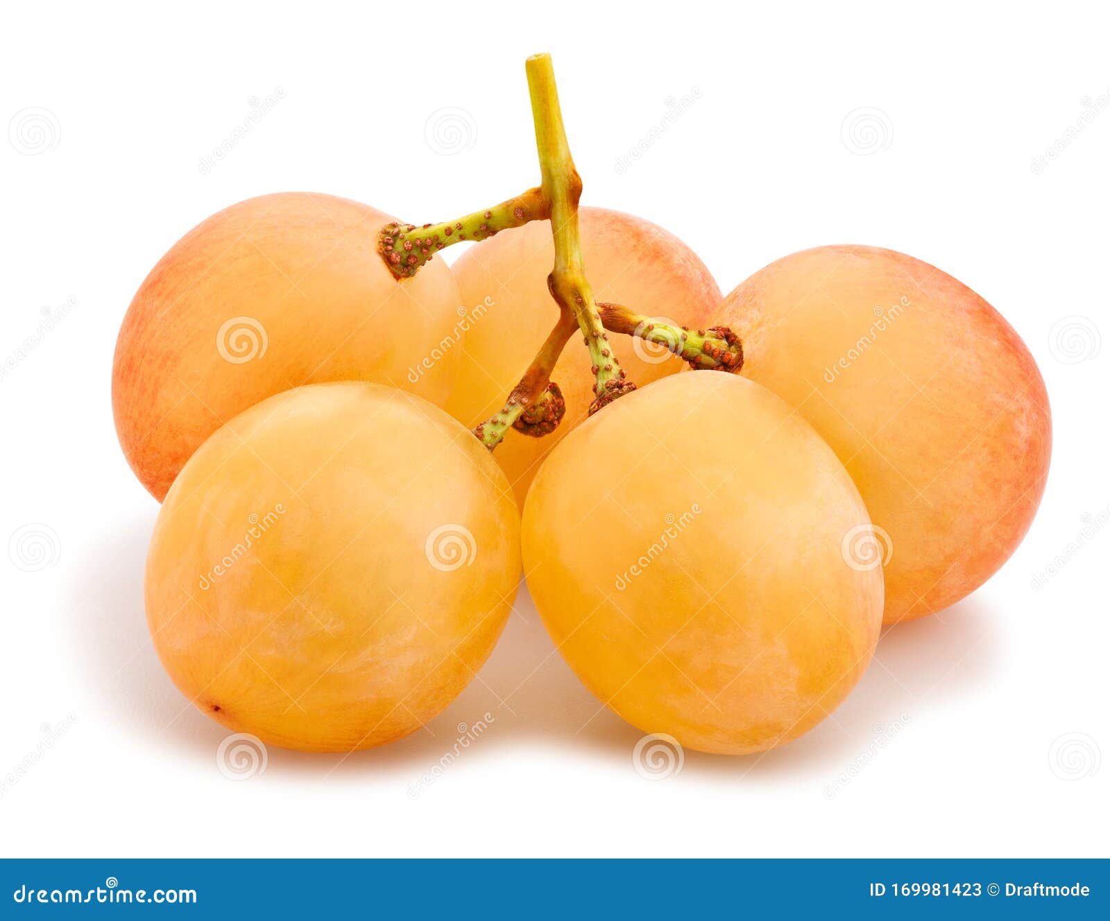 Uva rosa imagem de stock. Imagem de suculento, nutriente - 169981423